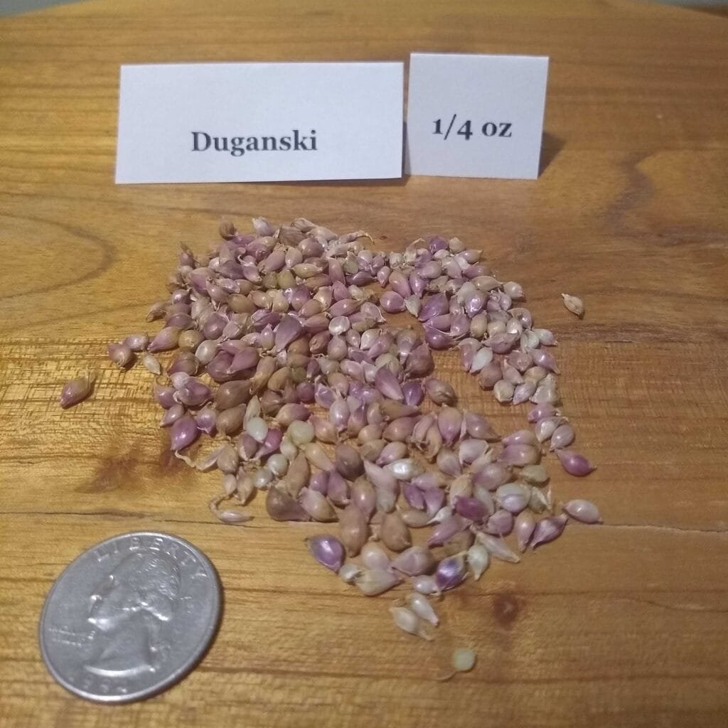 Duganski - Full Sky Farm